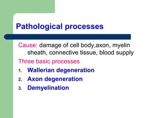 Peripheral_Nerve_Injuries (1).ppt