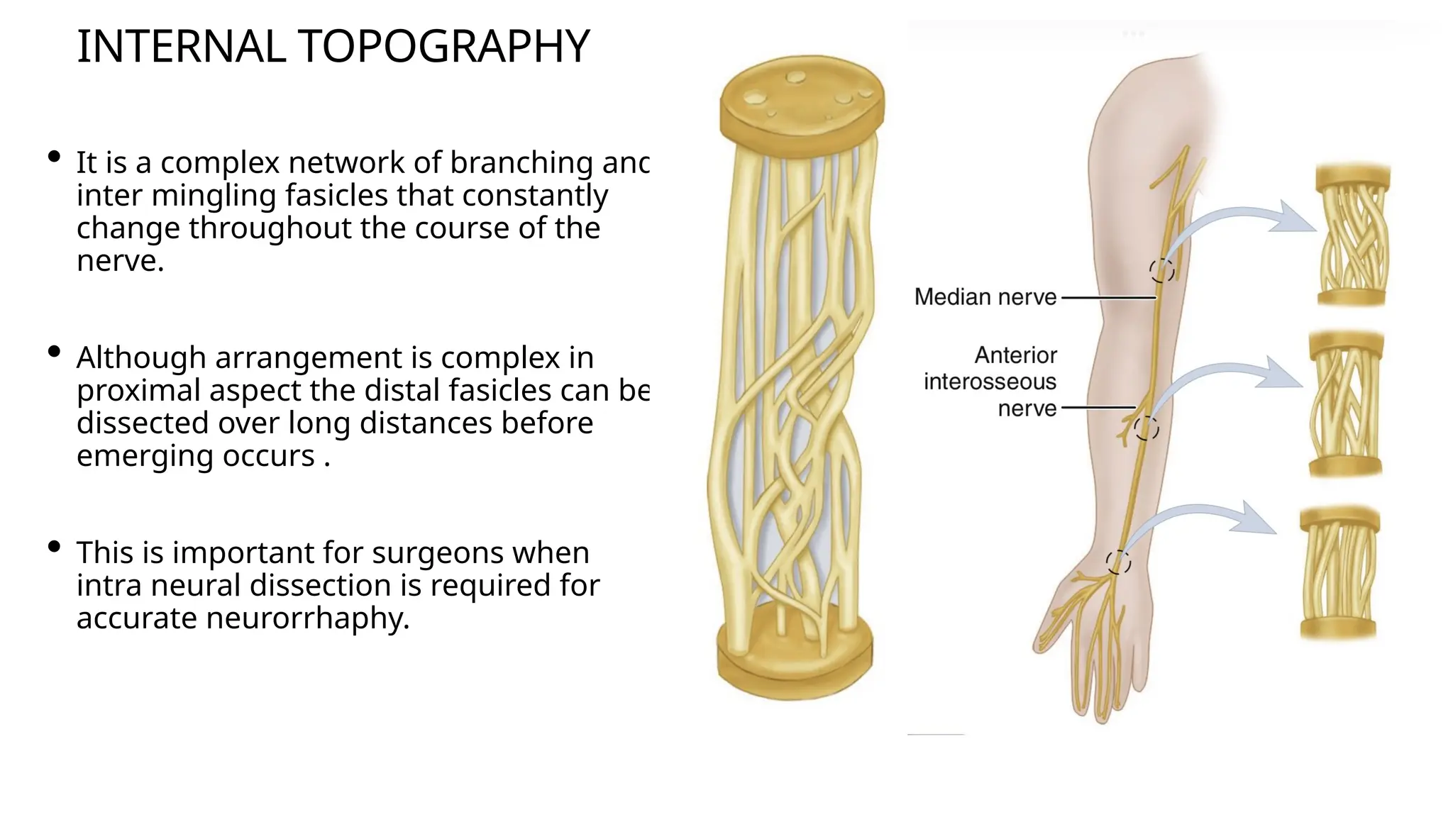 Peripheral nerve injuries (1).pptxfor ug and pg students | PPTX