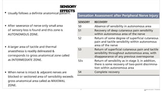 Peripheral nerve injuries (1).pptx peripheral nerve injury | PPTX