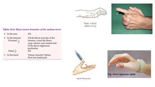 Peripheral nerve injuries by Dr.Harishma R.pdf