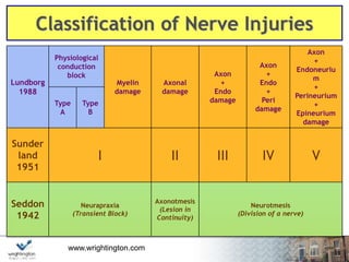 Peripheral Nerve Injuries | PPTX