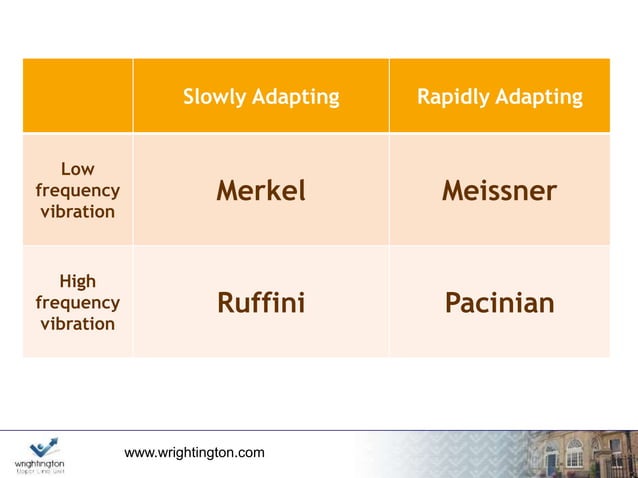 Peripheral Nerve Injuries | PPTX
