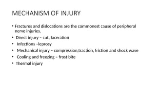 peripheral nerve injury and examinations | PPTX