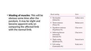 peripheral nerve injury and examinations | PPTX