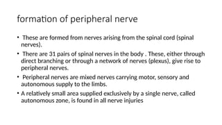 peripheral nerve injury and examinations | PPT