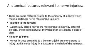 peripheral nerve injury and examinations | PPTX