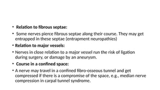 peripheral nerve injury and examinations | PPTX