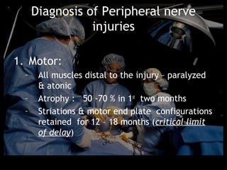 Peripheral nerve injury | PPT