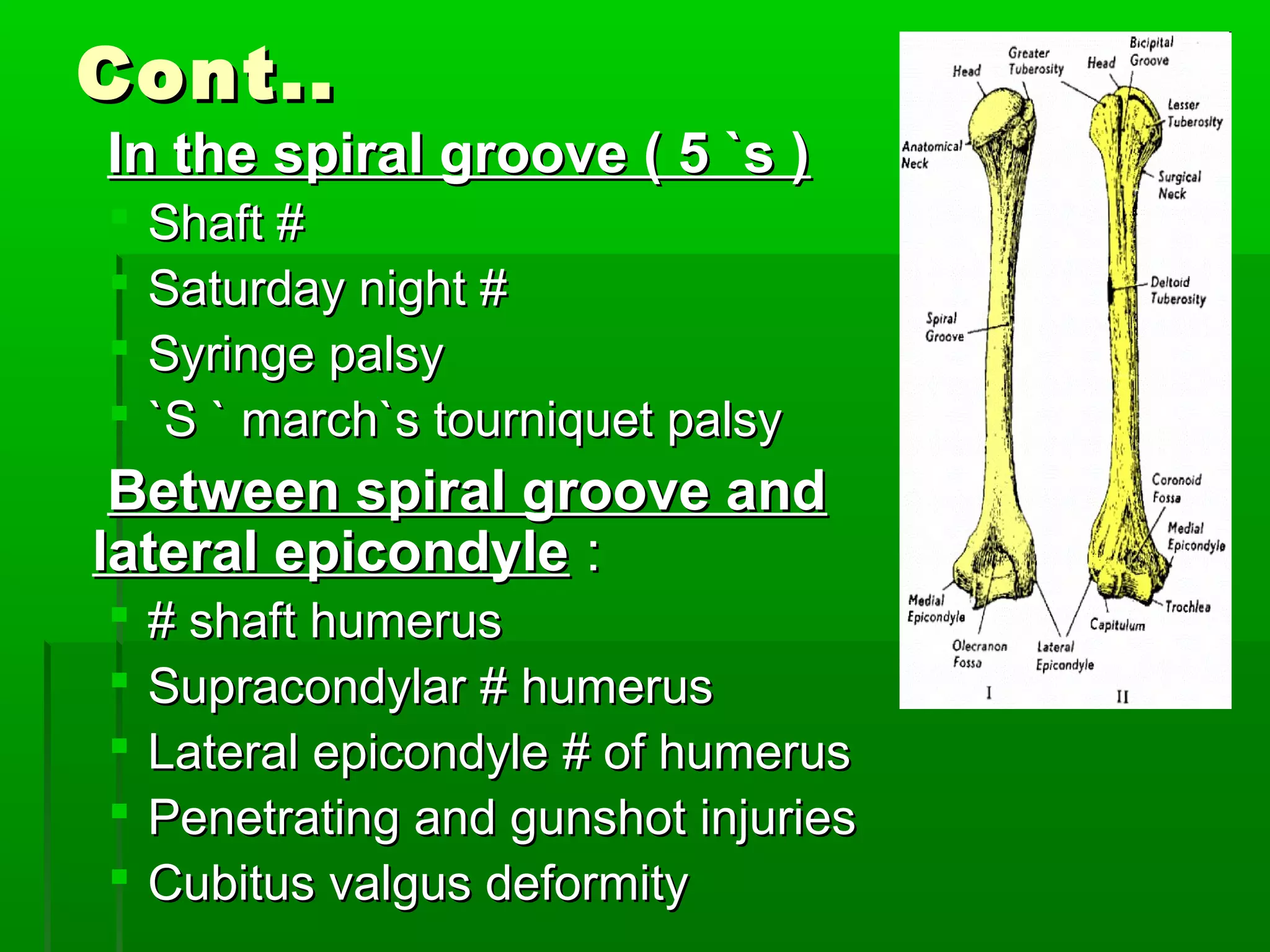 Peripheral nerve injury | PPT