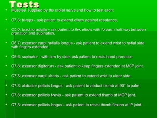 Peripheral nerve injury | PPT