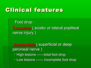 Peripheral nerve injury | PPT