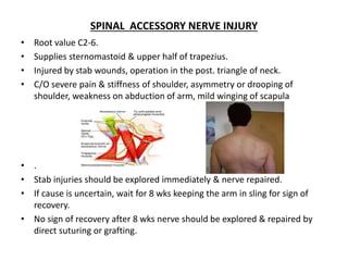 Peripheral nerve injury | PPTX
