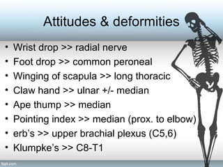 Peripheral nerve injury | PPT