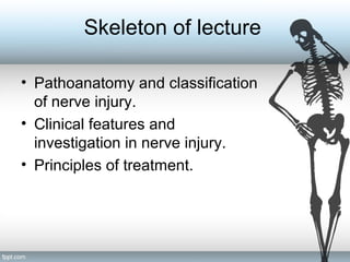 Peripheral nerve injury | PPT