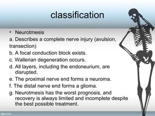 Peripheral nerve injury | PPT