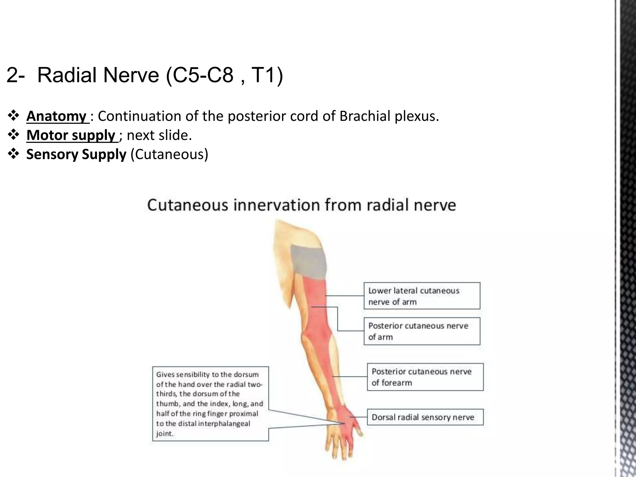 Peripheral Nerve Injury | PPTX