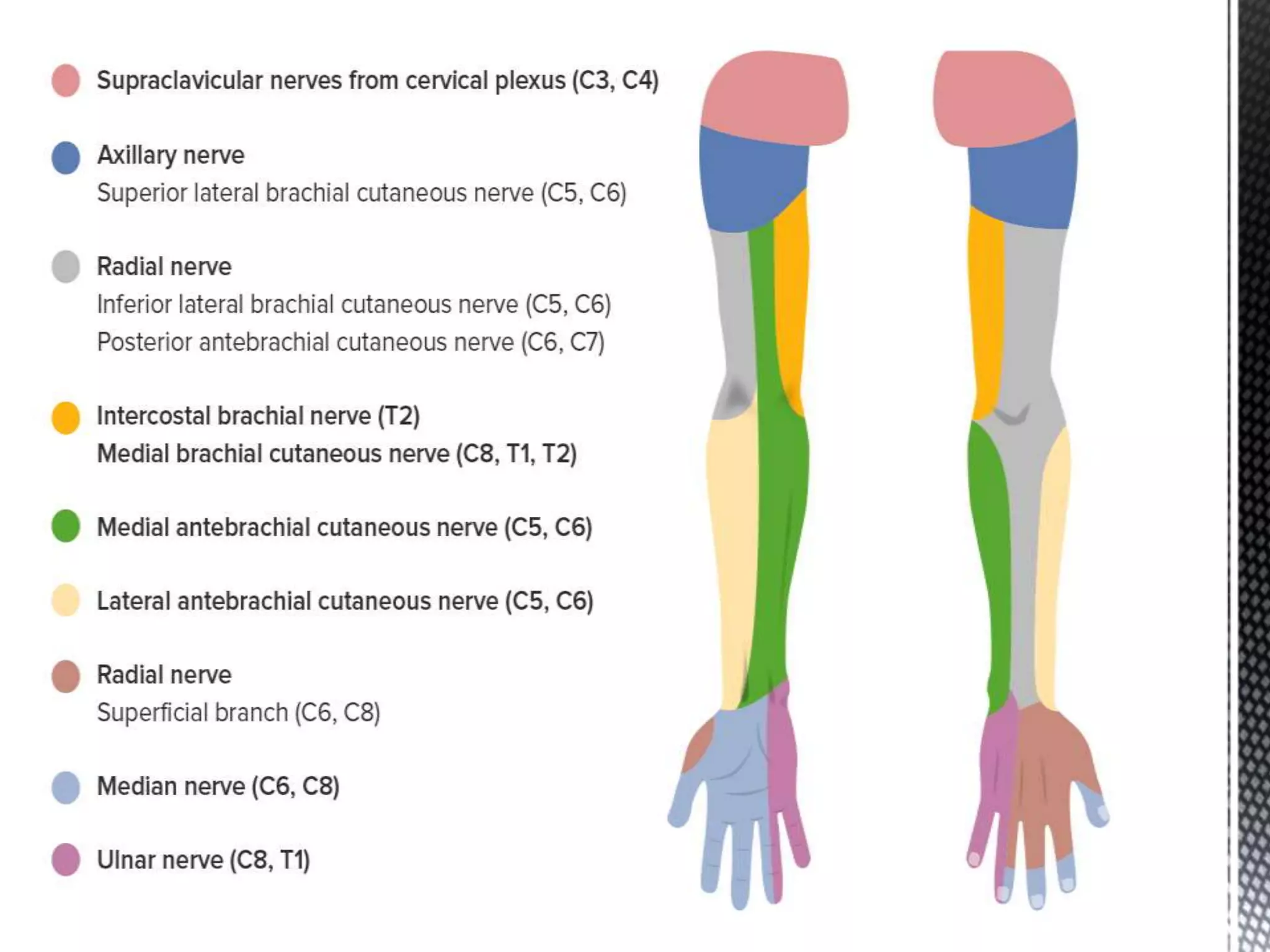 Peripheral Nerve Injury | PPTX