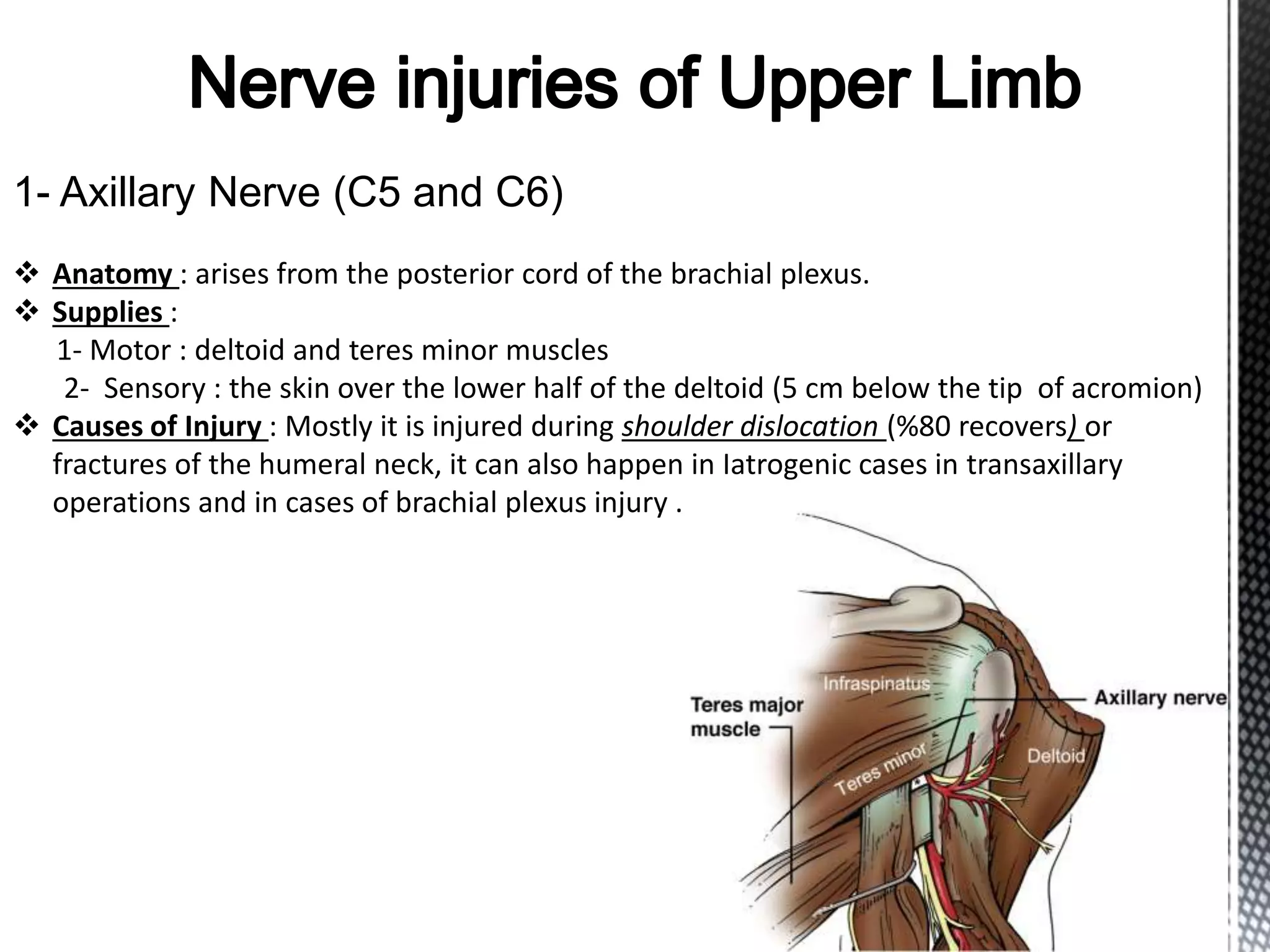 Peripheral Nerve Injury | PPTX