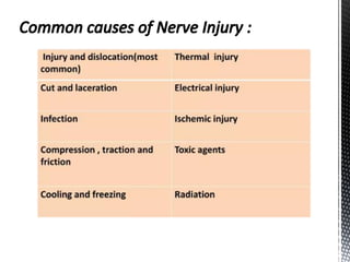 Peripheral Nerve Injury | PPTX