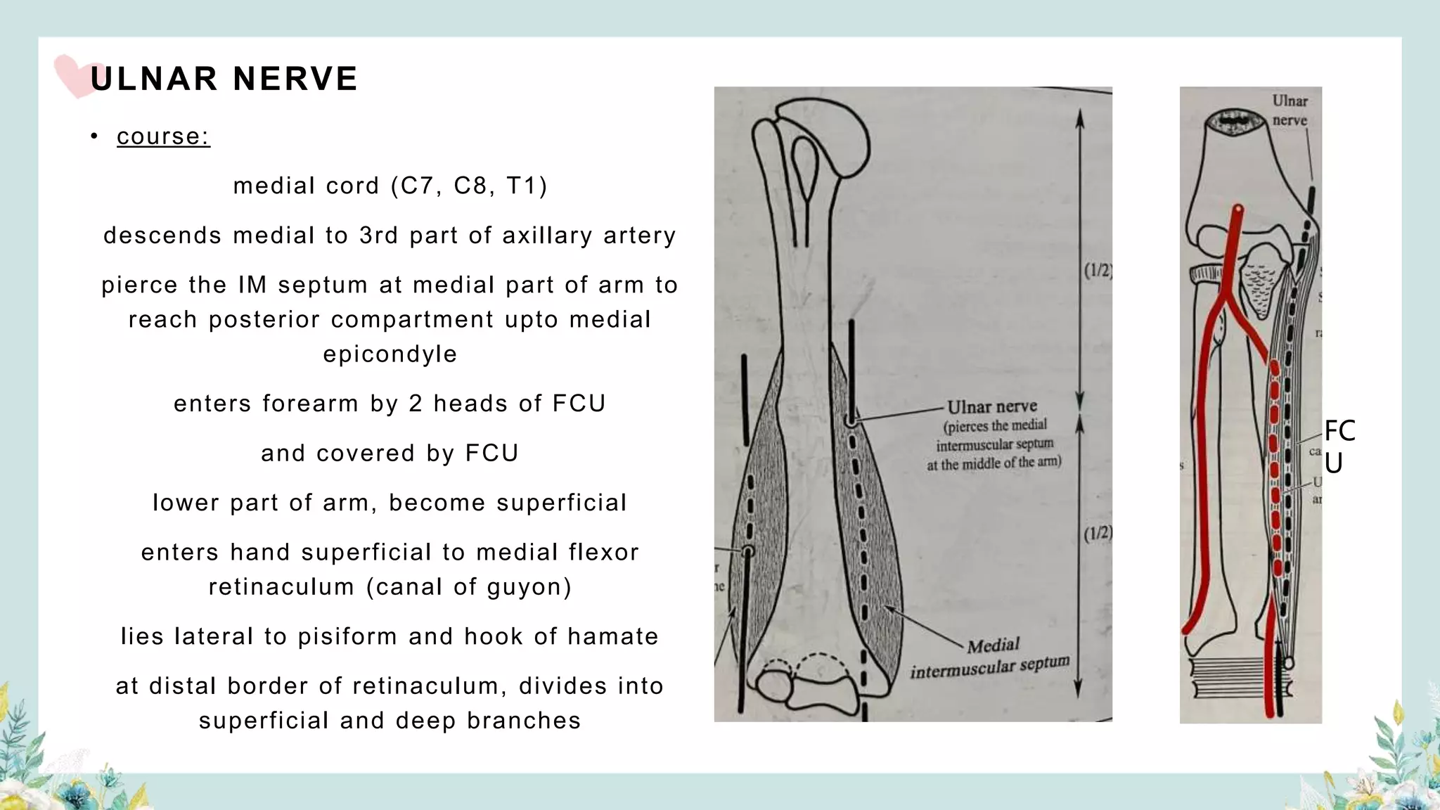 PERIPHERAL NERVE INJURY.pptx