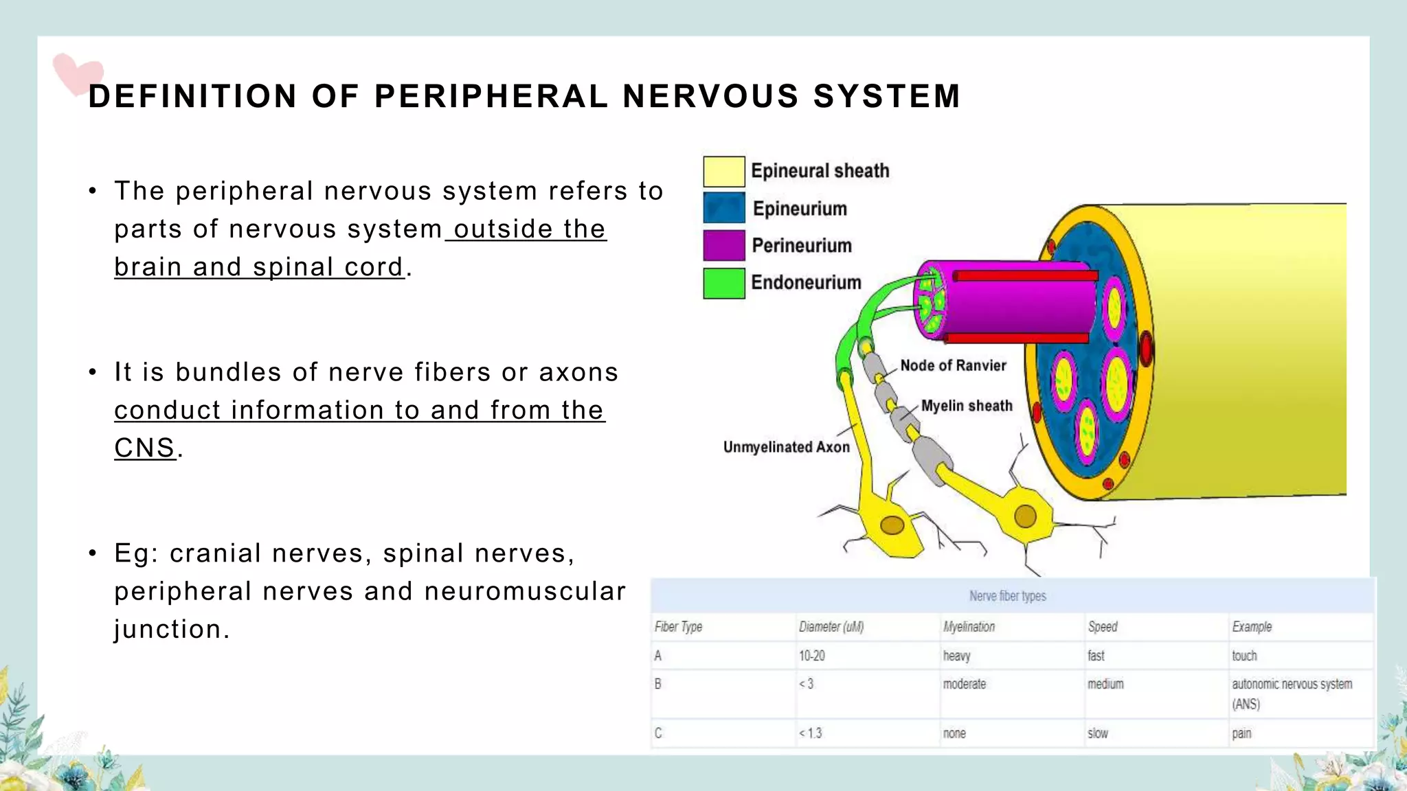 PERIPHERAL NERVE INJURY.pptx
