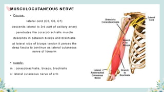 PERIPHERAL NERVE INJURY.pptx
