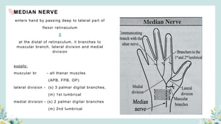 PERIPHERAL NERVE INJURY.pptx