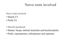 PERIPHERAL NERVE INJURY - Assessment and Treatment pdf | PDF