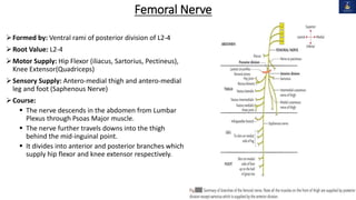 Peripheral Nerve Injury (Lower Limb) | PPTX