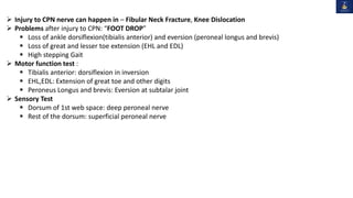 Peripheral Nerve Injury (Lower Limb) | PPTX