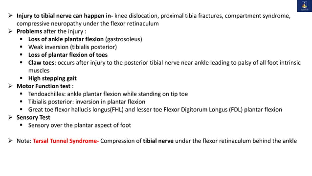 Peripheral Nerve Injury (Lower Limb) | PPTX