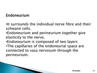 PERIPHERAL NERVE INJURY 27.pptx