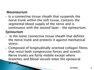 PERIPHERAL NERVE INJURY 27.pptx