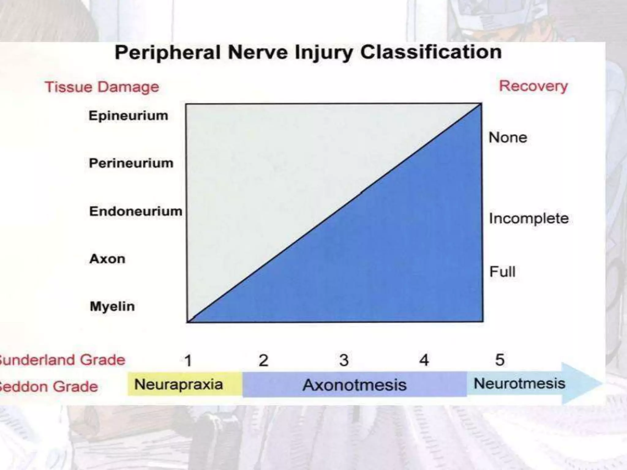 Peripheral nerve injury by dr ashutosh | PPT