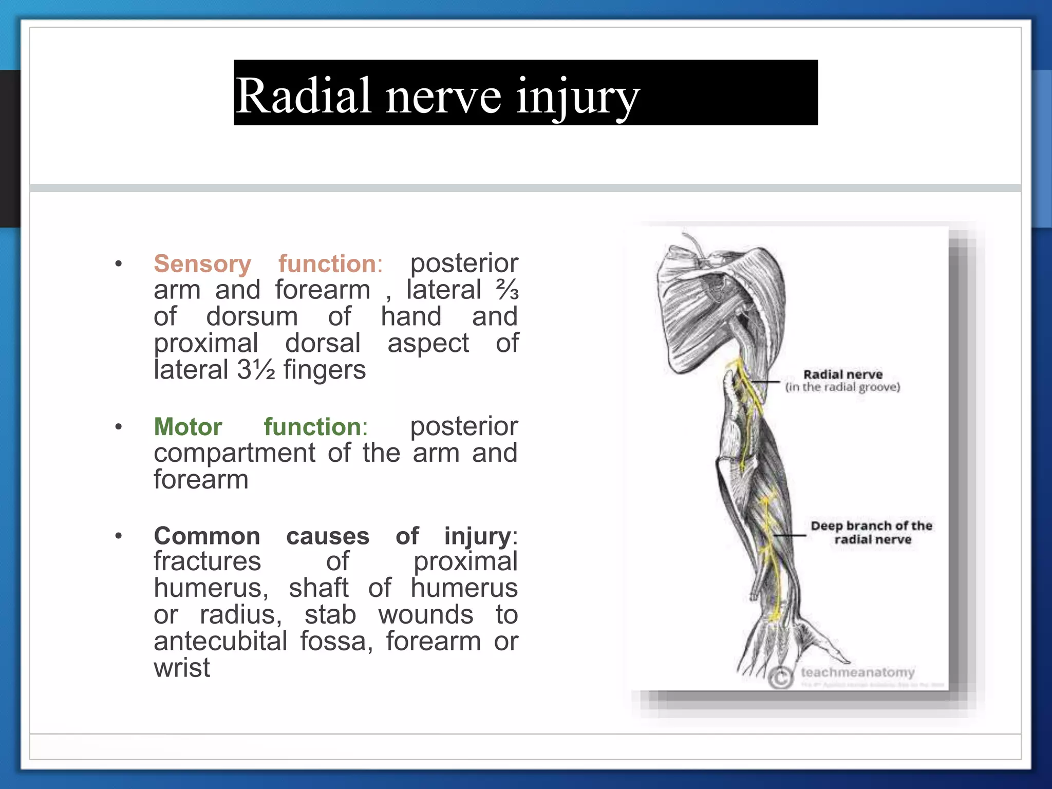Peripheral nerve injury by dr ashutosh | PPT