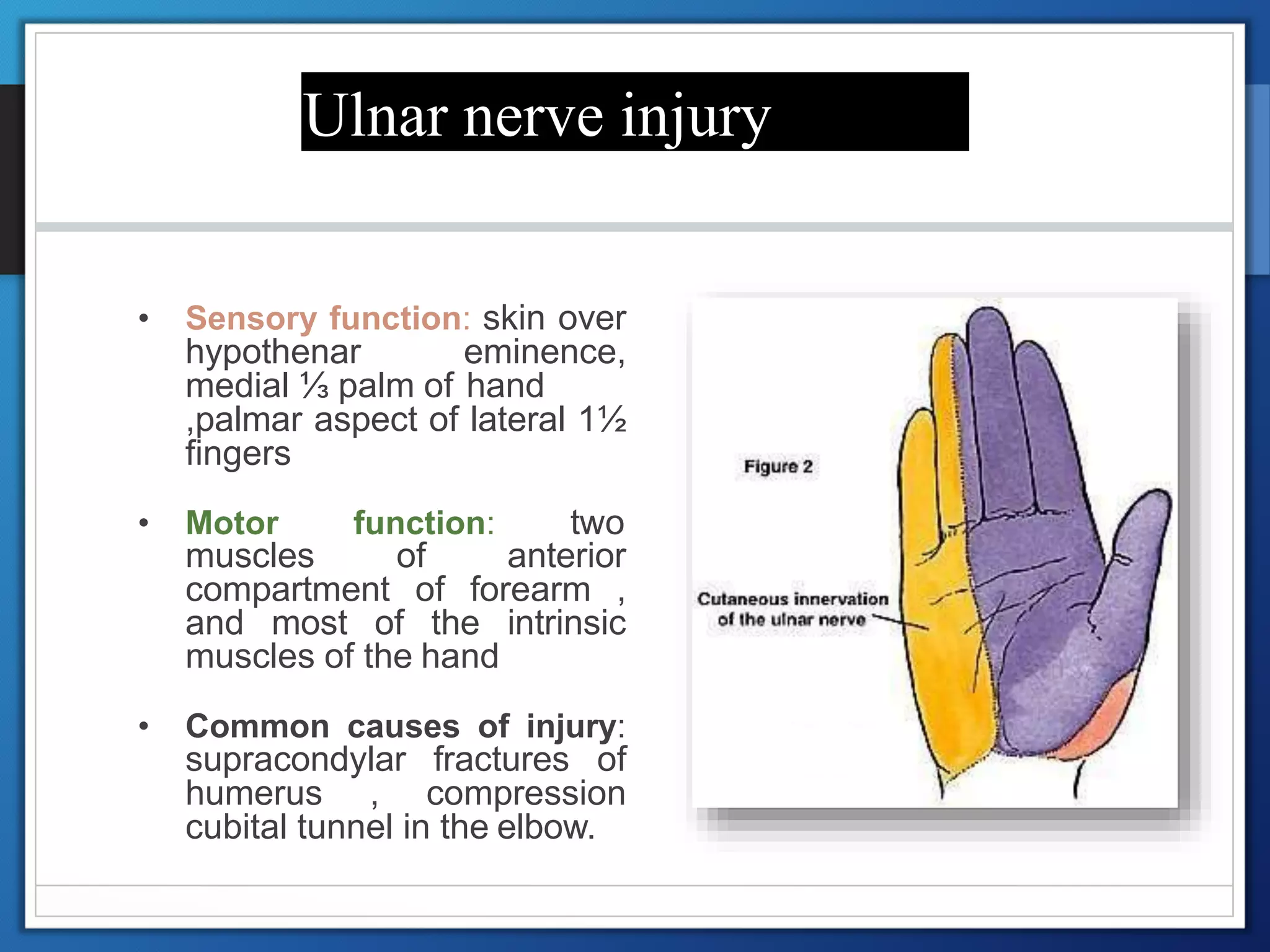 Peripheral nerve injury by dr ashutosh | PPT