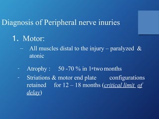Peripheral nerve injury by dr ashutosh | PPTX