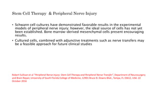 peripheral nerve injury new.pptx