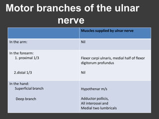 Peripheral Nerve Injury (Part-II) | PPTX