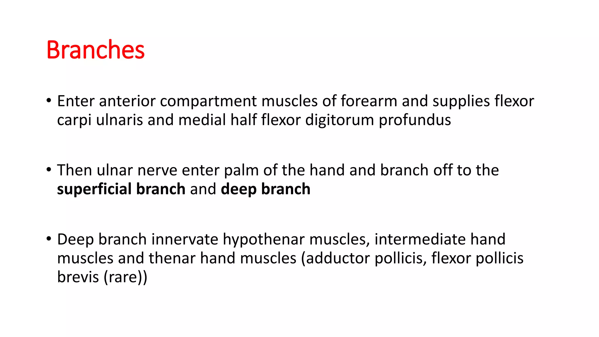 Peripheral nerve injuries of upper limb | PPTX