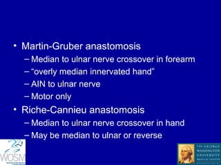 Peripheral Nerve Repair | PPT