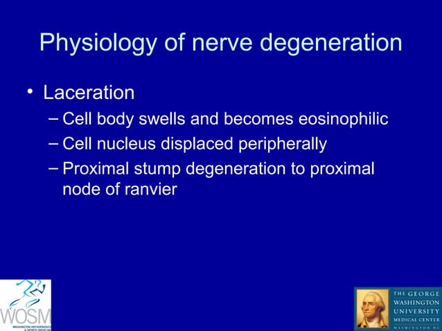 Peripheral Nerve Repair