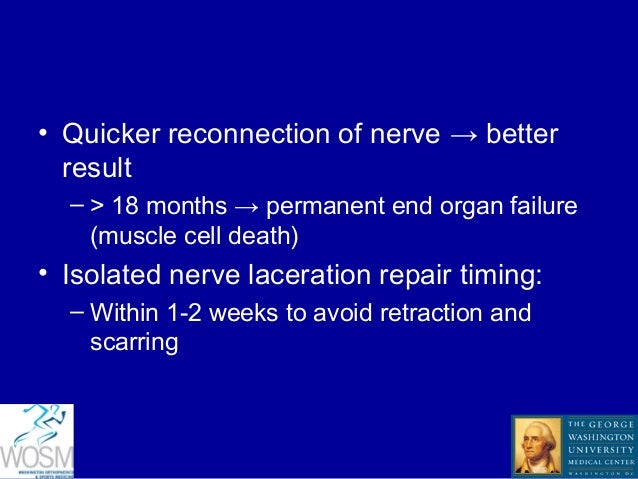 Peripheral Nerve Repair