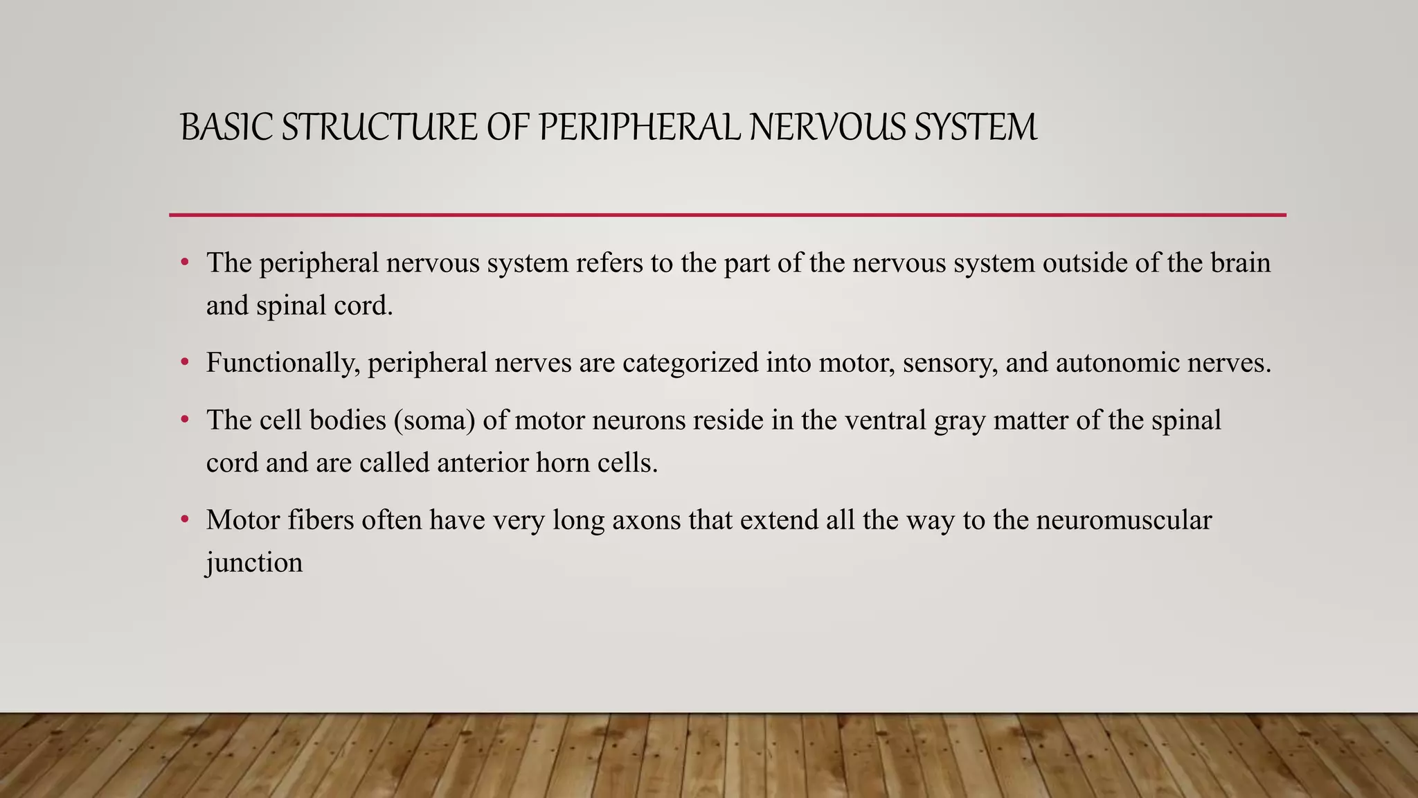 PERIPHERAL NERVES.pptx