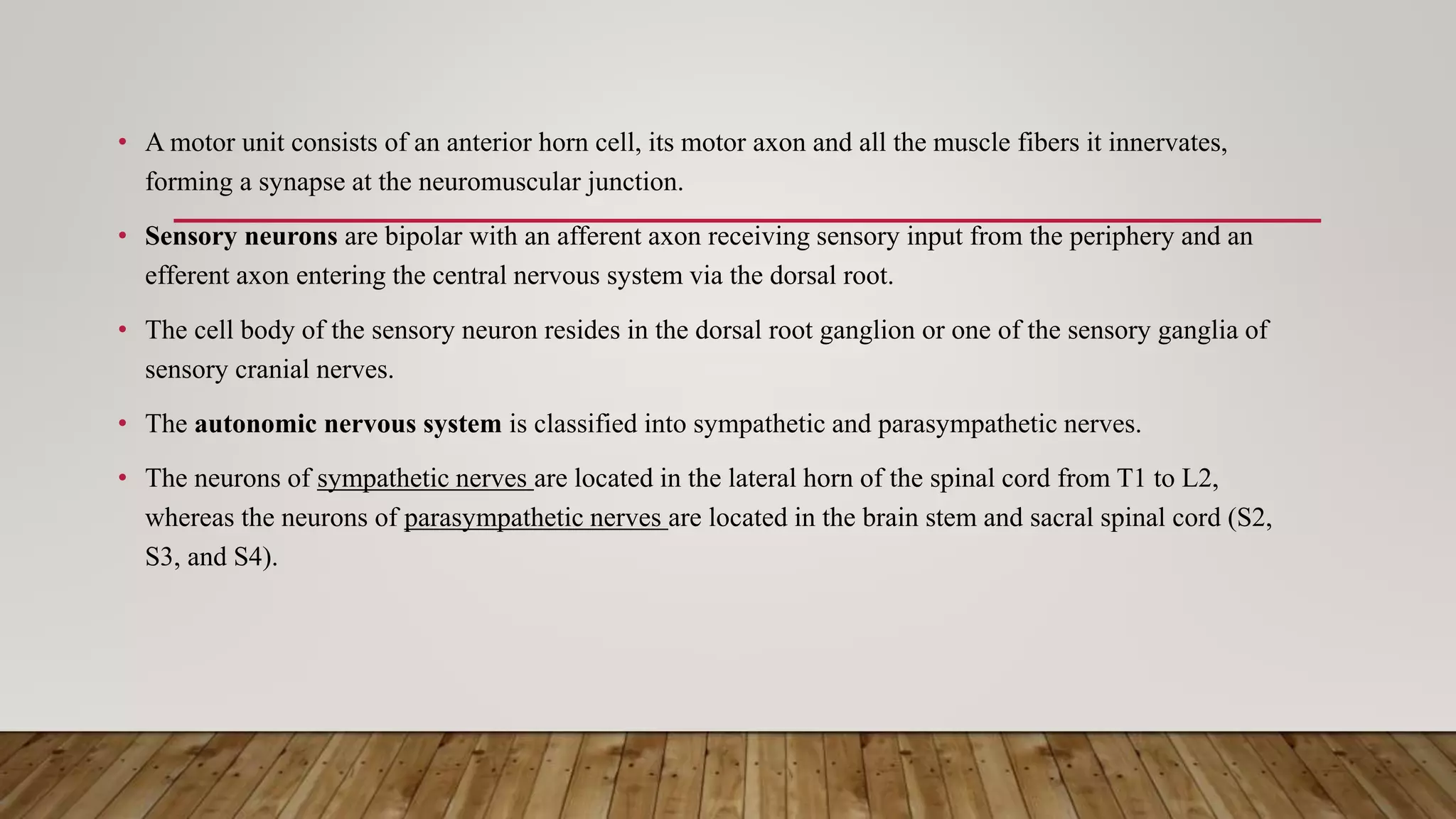 PERIPHERAL NERVES.pptx