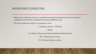 PERIPHERAL NERVES.pptx