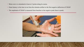 PERIPHERAL NERVES.pptx