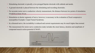 PERIPHERAL NERVES.pptx