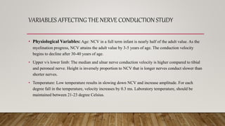 PERIPHERAL NERVES.pptx