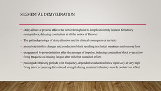 PERIPHERAL NERVES.pptx
